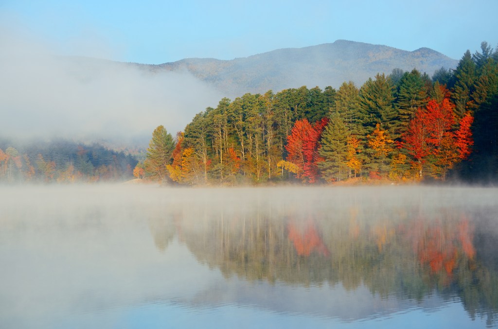 5 Photo Tips for Photographing Fall Foliage – Bedford Blog