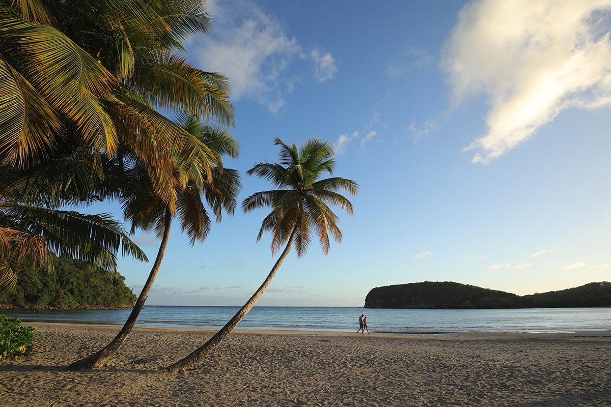 Gallivanting Around Grenada – Bedford Blog